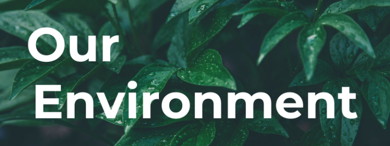 Our Environment Notes: Important Key Concepts - Being45.com